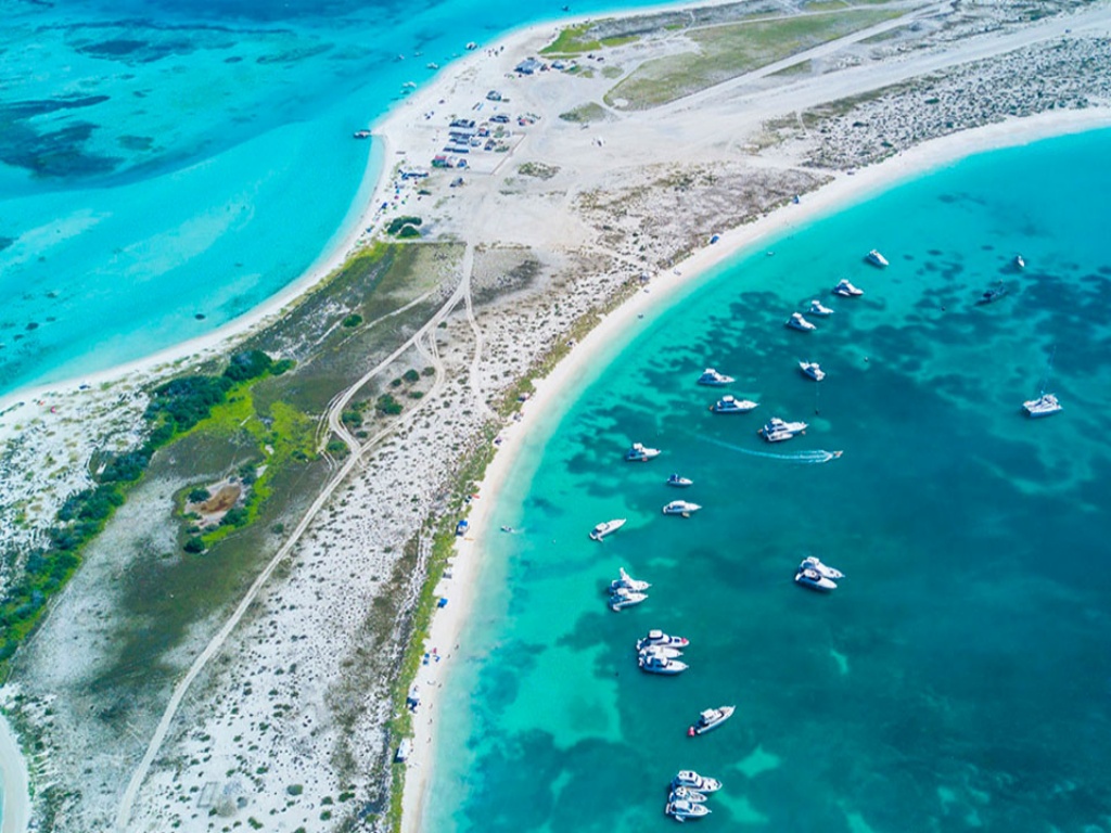Isla La Tortuga: un paraíso natural para el turismo en Venezuela ...
