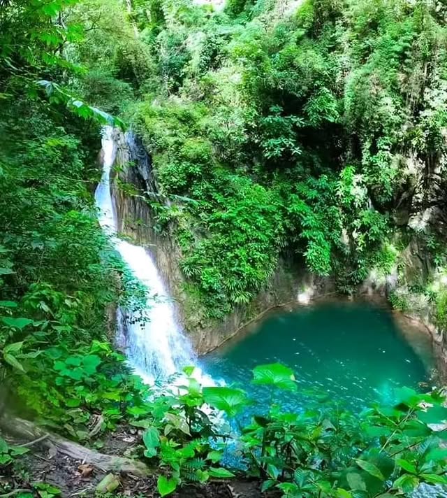 Descubre la magia de la selva en Pozo Azul: un paraíso oculto en ...