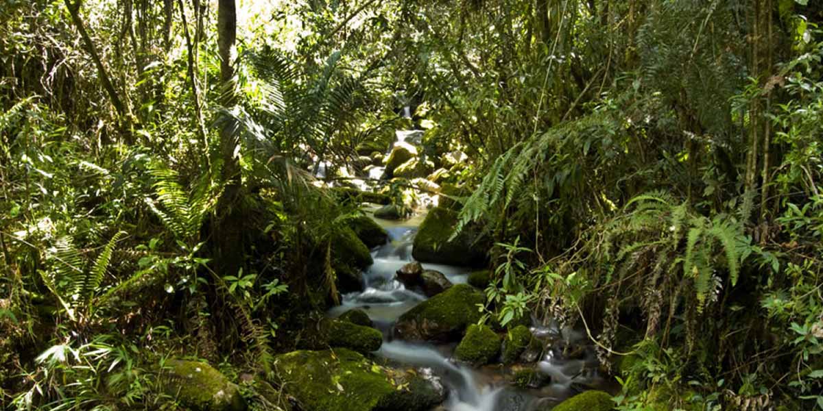Disfruta del aviturismo, el senderismo y la escalada en roca en el ...