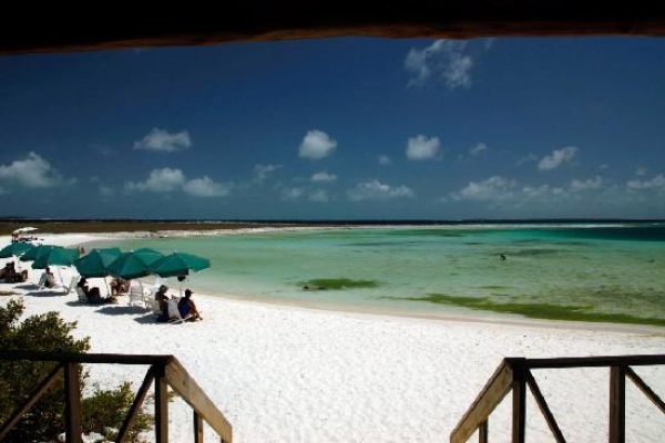 Cayo Bequevé: la maravillosa isla de corales que te espera en el ...