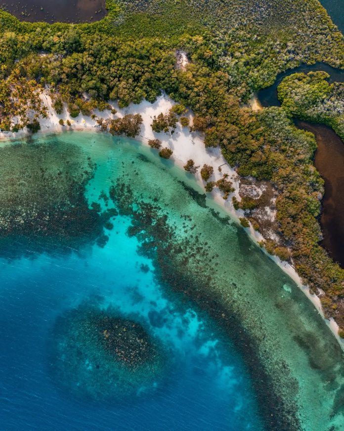 Recorriendo el Parque Nacional Morrocoy: un mosaico de vida caribeña ...