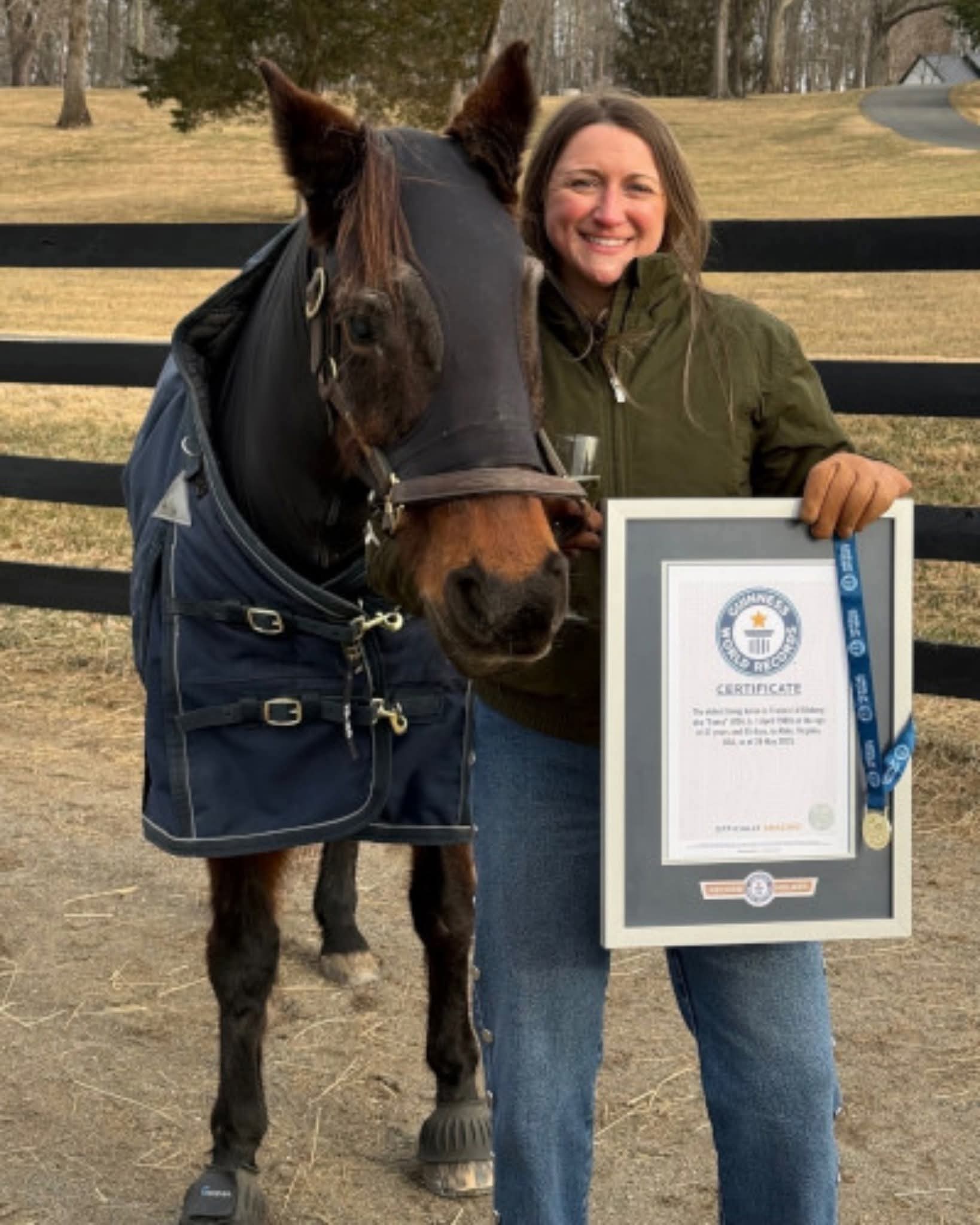 El caballo más viejo del mundo es una yegua: Ha certificado su récord ...